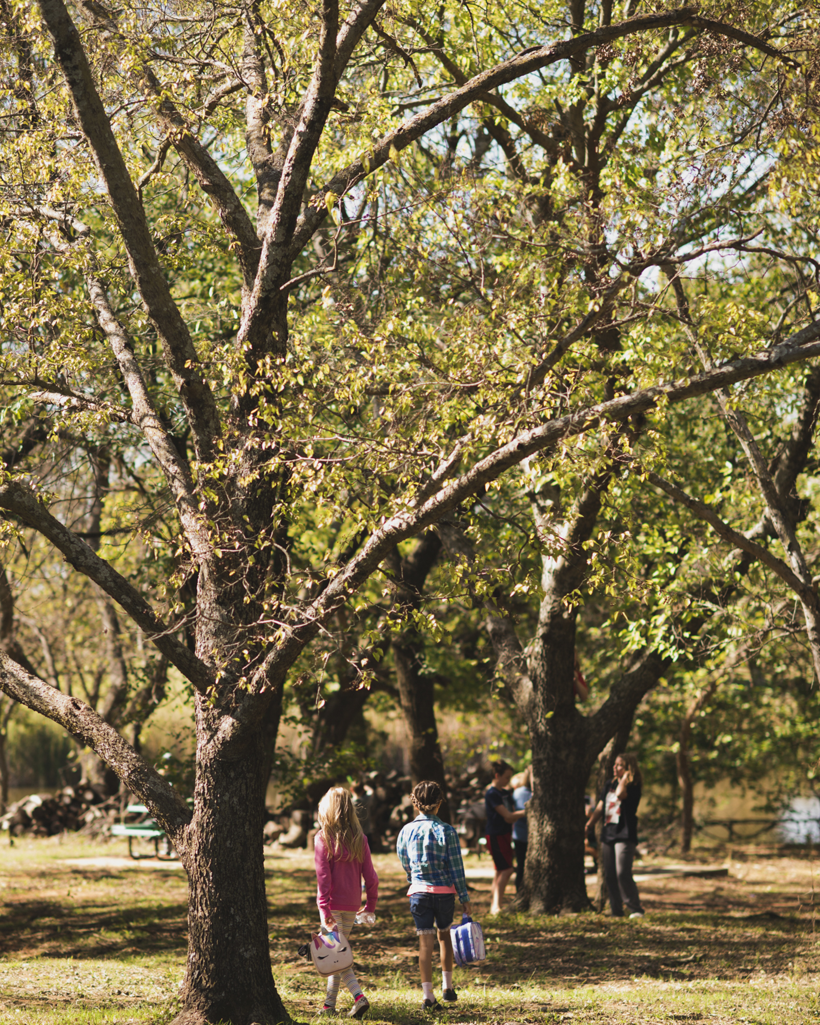 girls-walking-in-trees – Cimarron School of Living Education
