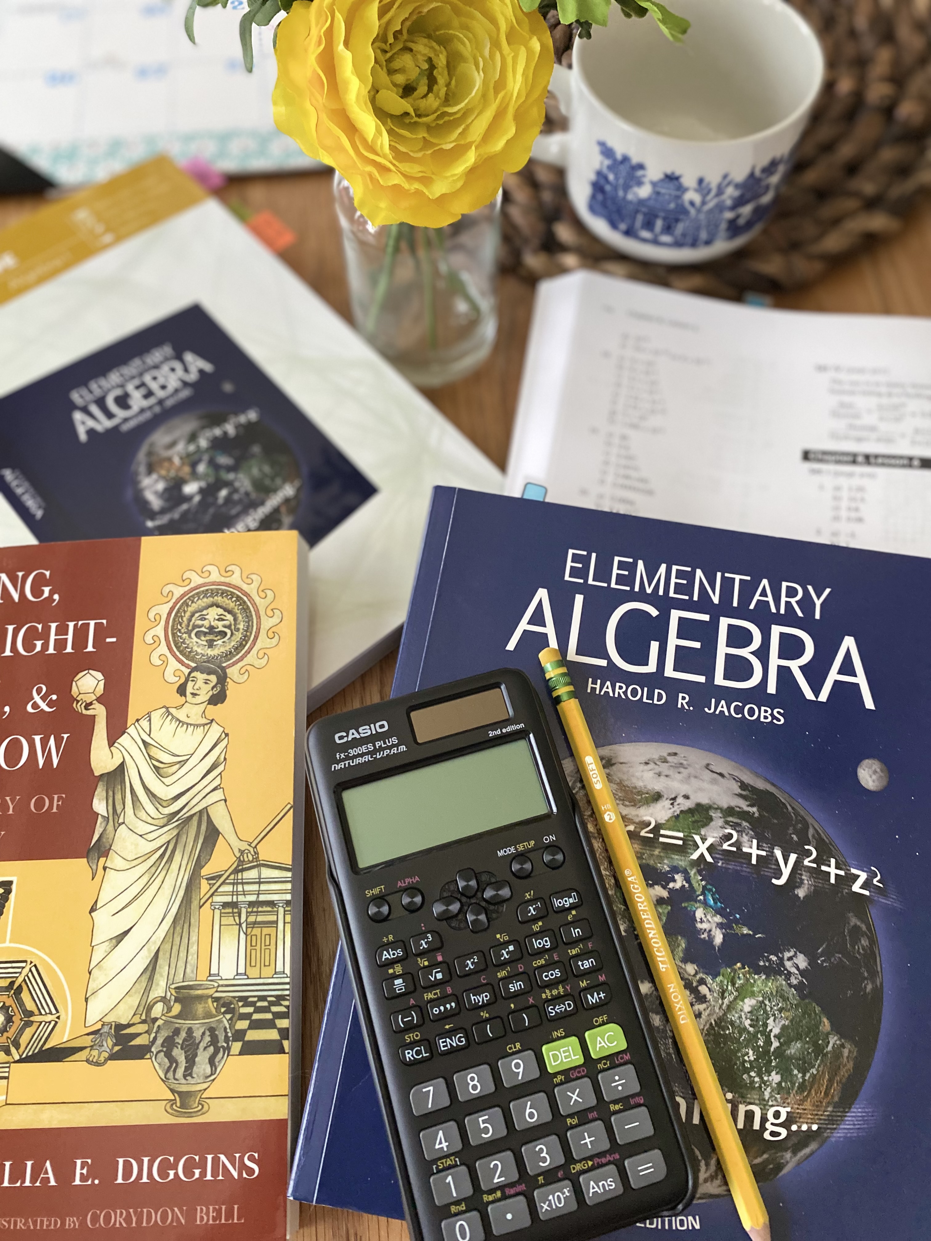 Upper Level Math – Cimarron School of Living Education